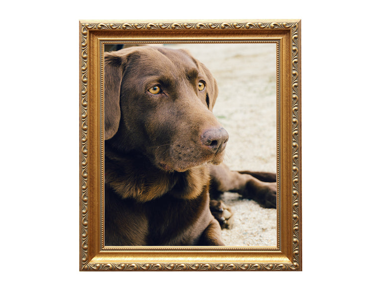 Antique Frames – Tammy's Elegant Frames